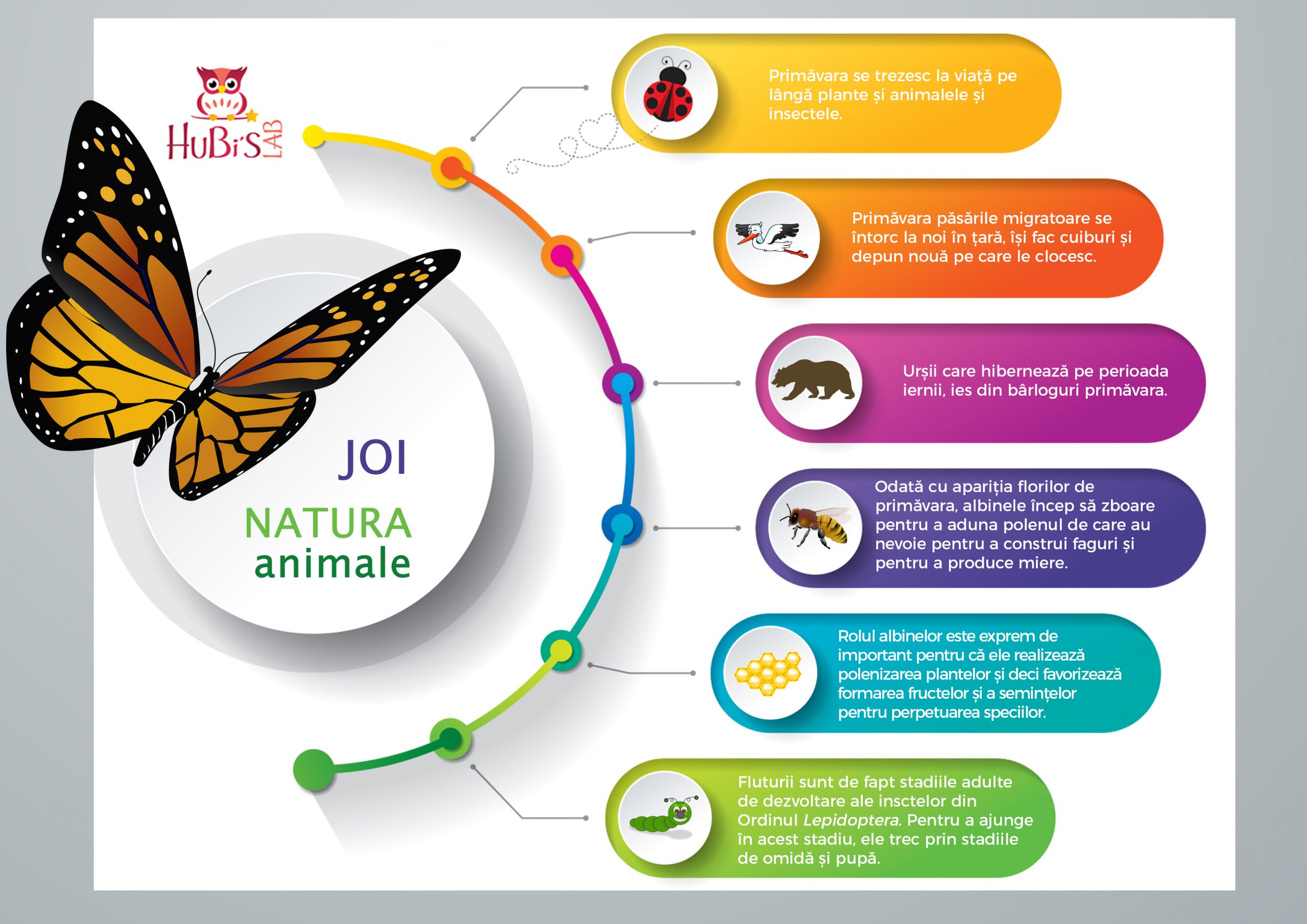 DESPRE ANIMALE SI INSECTE_Primăvara | Hubi's Lab